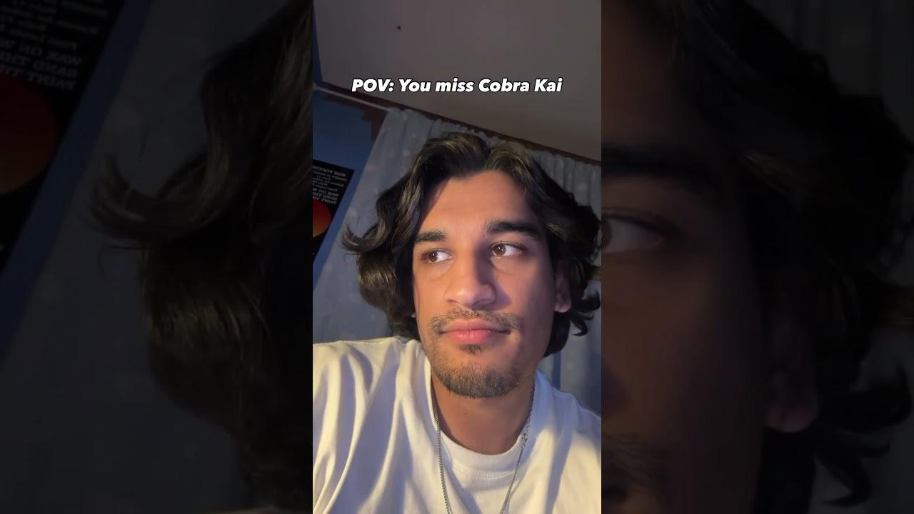 Pov: You Miss Cobra Kai 🥲🐍 #cobrakai #karatekid #netflix #karatekidlegends