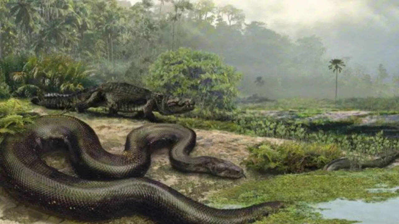 5 giant ancient snakes that once ruled the Earth