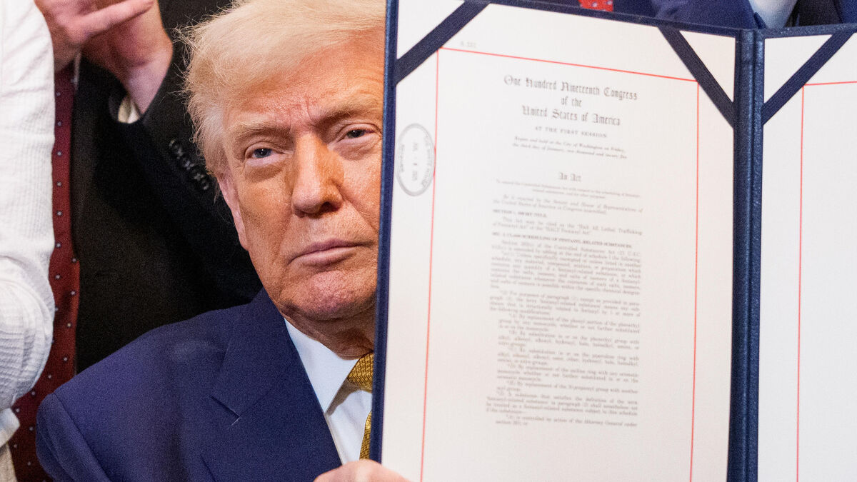 Une manne potentielle pour le clan Trump : c’est quoi le WLFI, cette ...