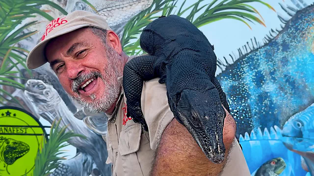 THE BIGGEST REPTILE ZOO EVER