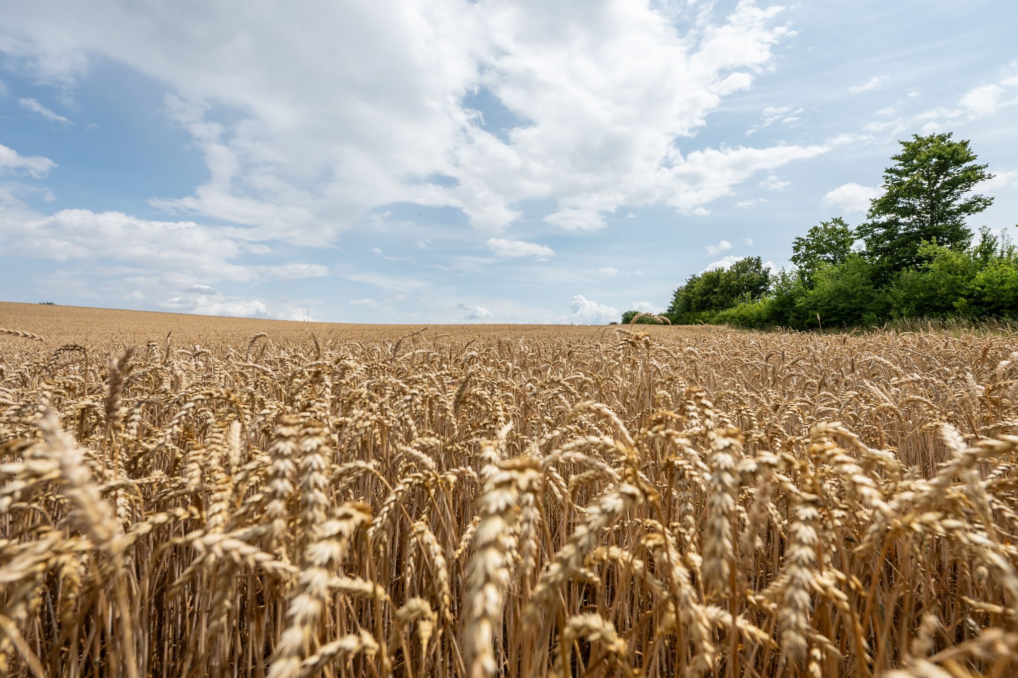 Zurück zur 30-Grad-Marke mit Mix aus Sonne und Wolken