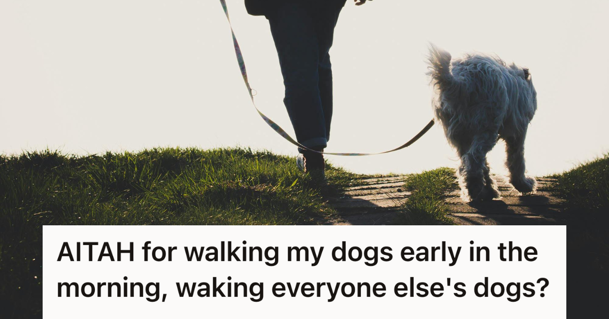Homeowner Followed Their Routine Of Walking Their Dogs At 5 AM, But ...