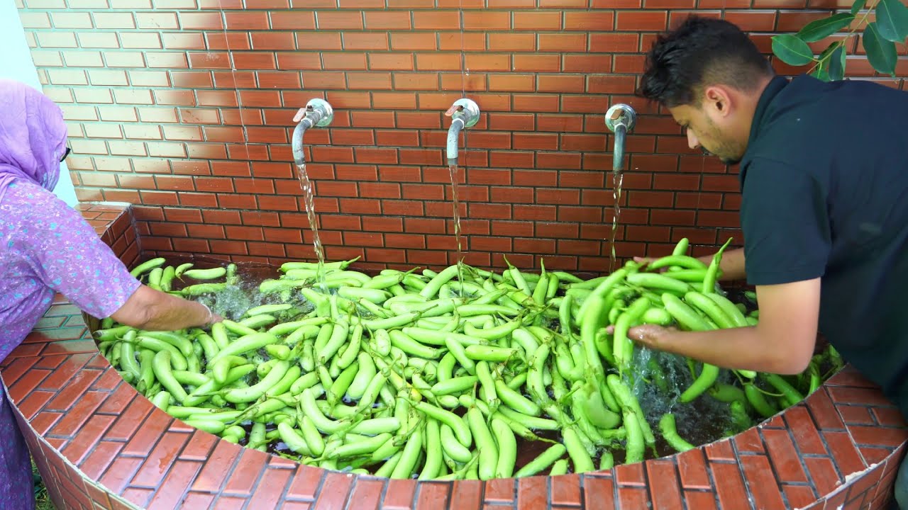 Turn green eggplant into a spicy Indian delight