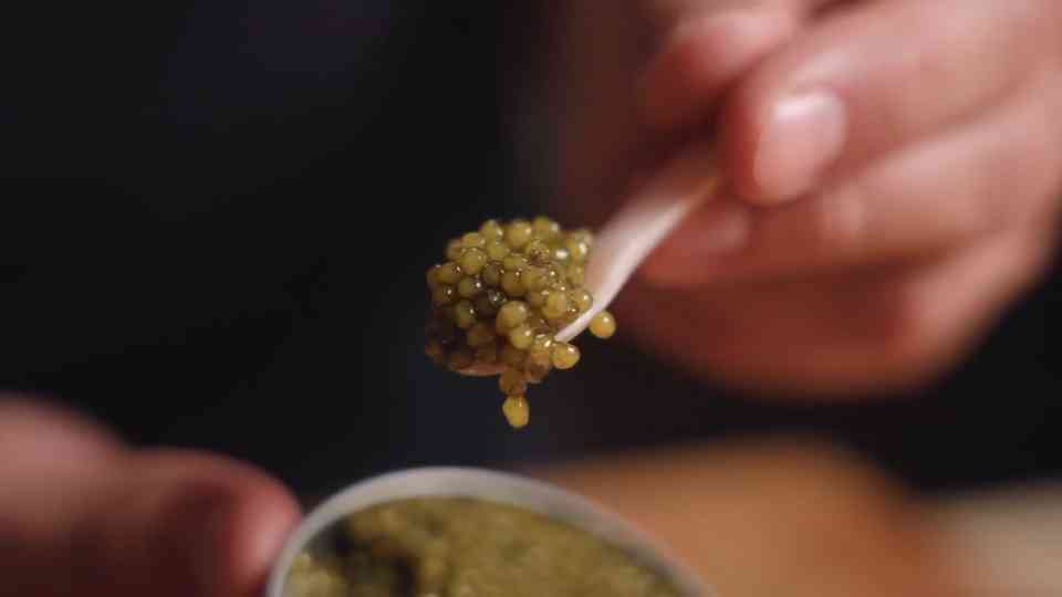 I Cooked the World’s RAREST Foods