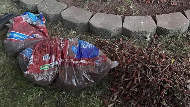 Proud homeowner shares images after fixing harmful landscaping mistake ...