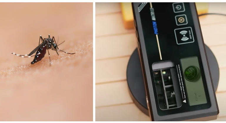 Zanzare, il dispositivo che individua e uccide 30 insetti al secondo ...