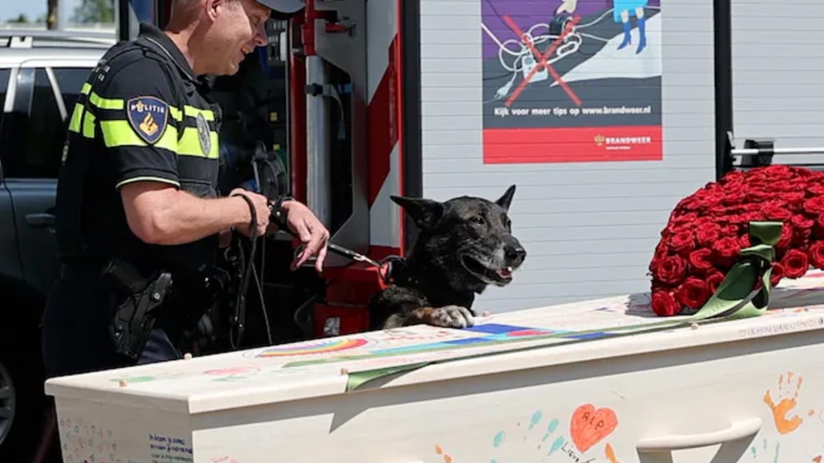 Hund springt auf Sarg bei emotionalem Abschied von Feuerwehrmann Thomas ...