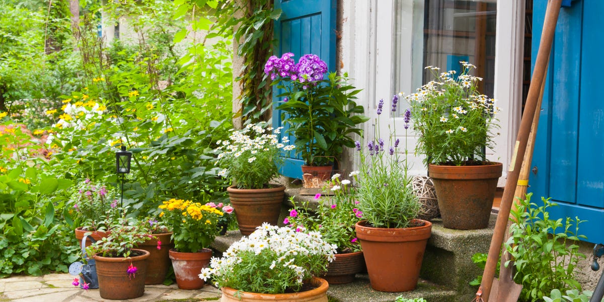 11 fragrant flowers for a sweetly-scented small space garden