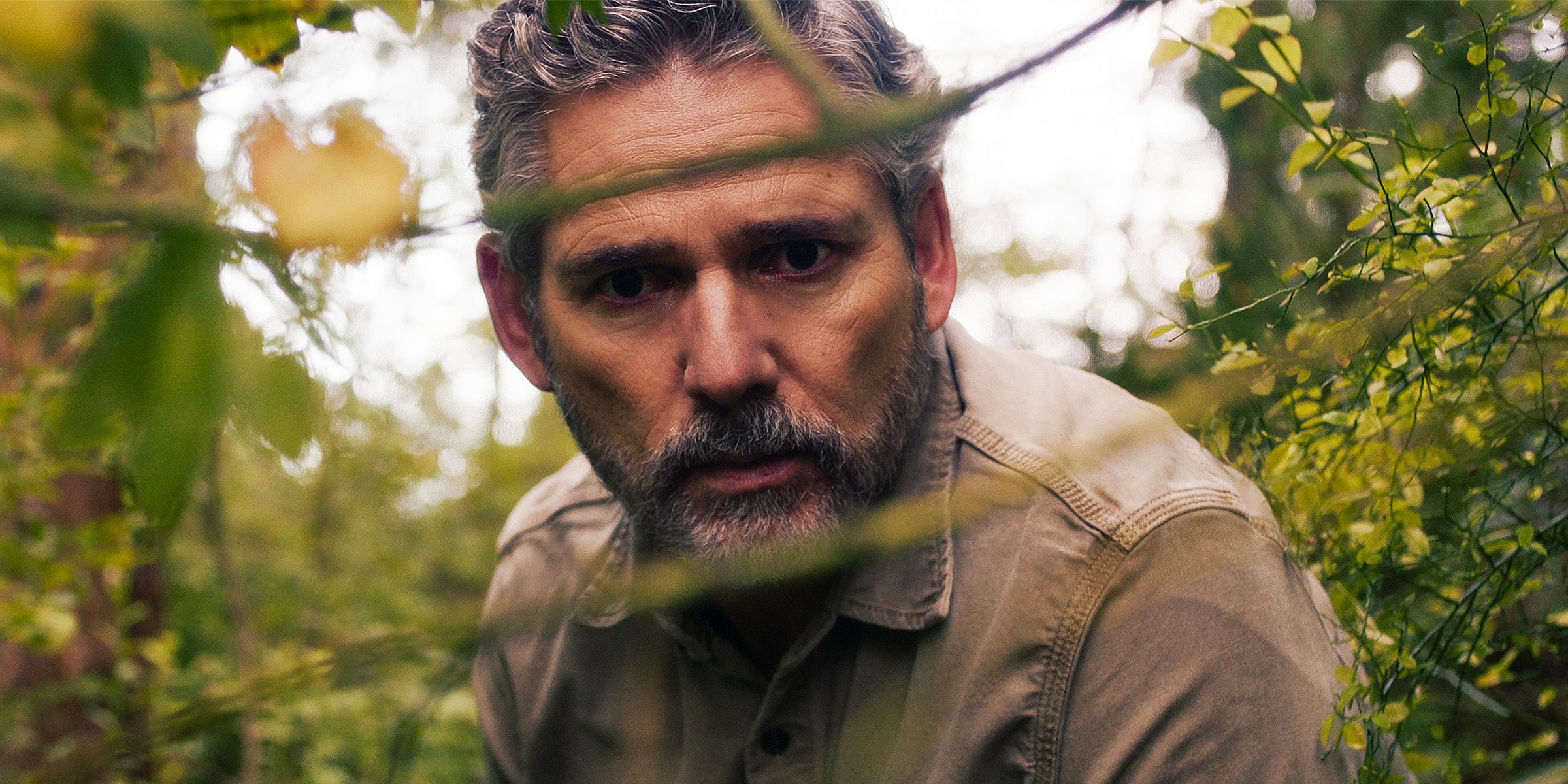 Untamed Cast & Character Guide: Who Else Stars In Eric Bana's Netflix Drama