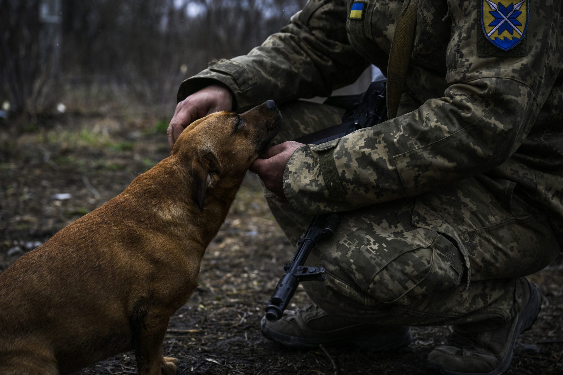 History's silliest excuses for war