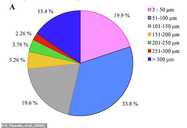 Scientists issue urgent warning about CHEESE - as they discover ...