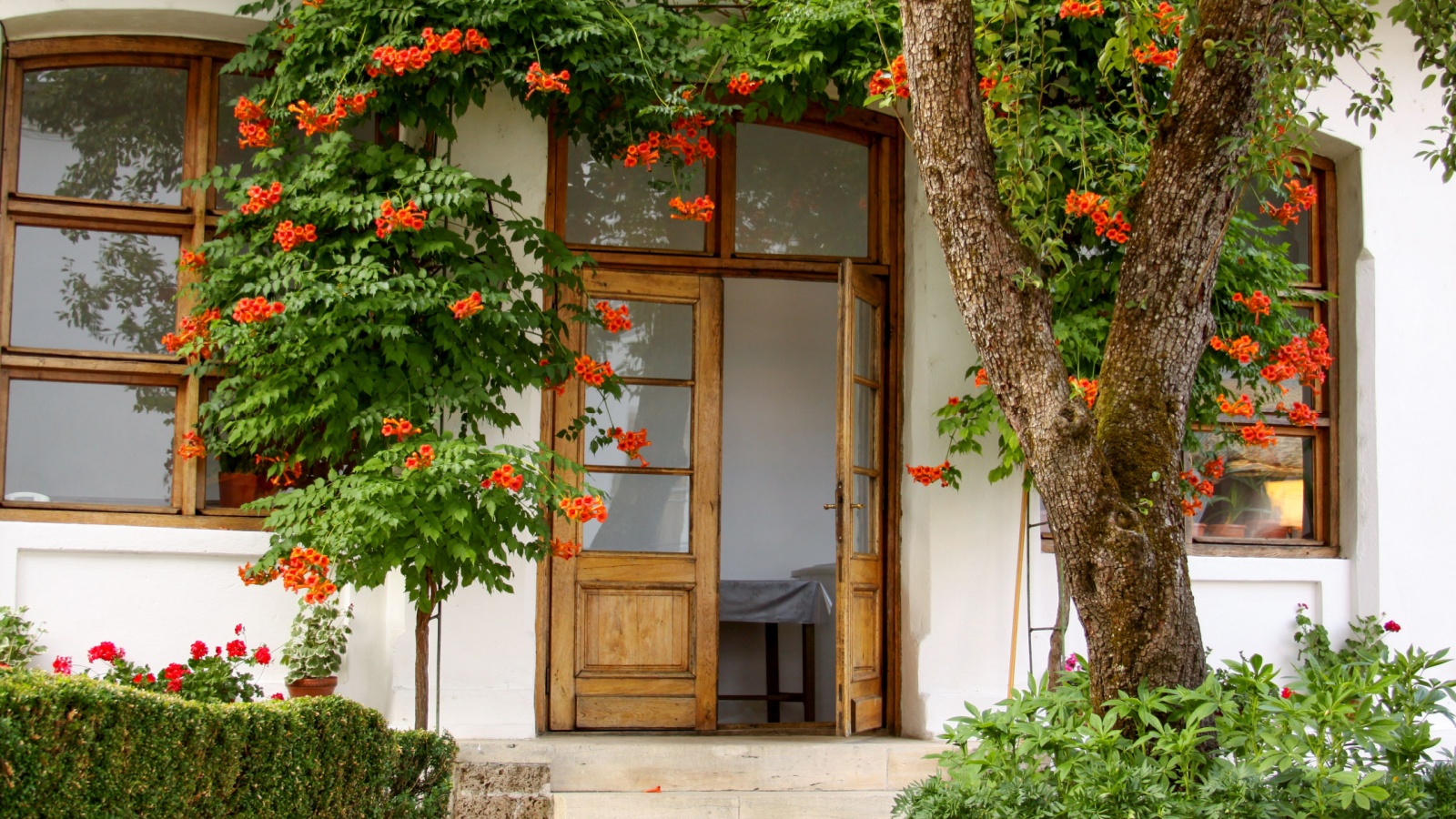 These 14 flowering vines bring romance and curb appeal to your walls