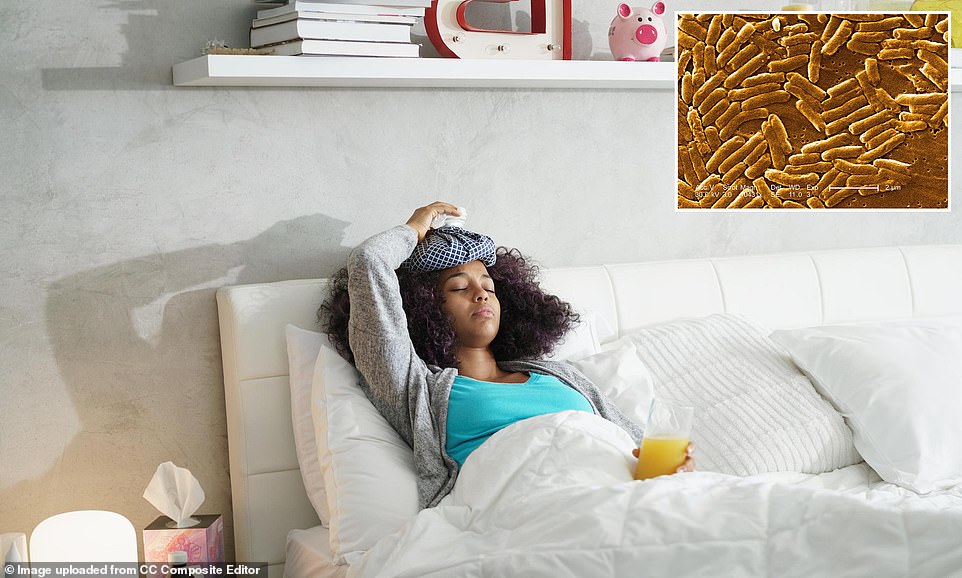 FDA investigating two foodborne outbreaks