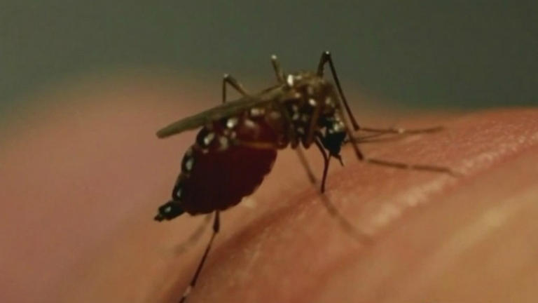 Vier doden nadat Rusland een winkelcentrum in Oekraïne heeft geraakt ...