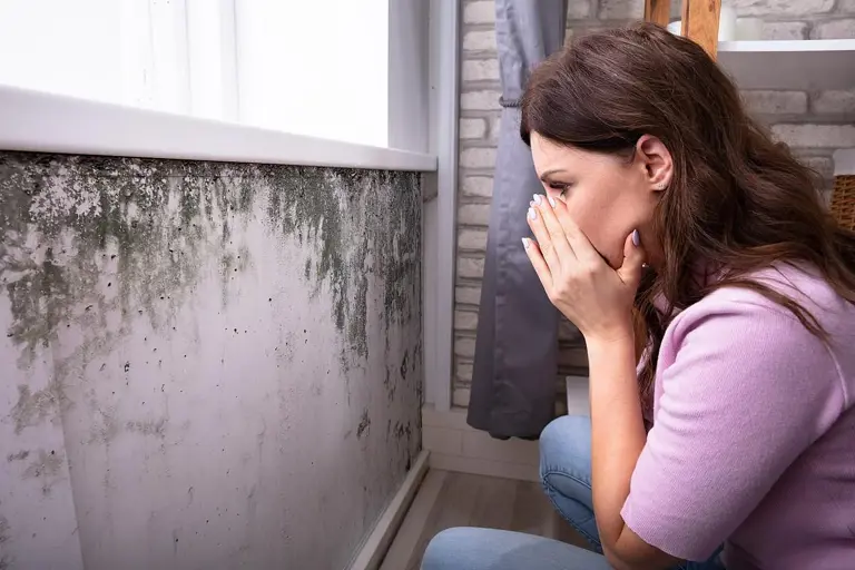 NYC mold removal program cut asthma ER cases by a quarter, study says