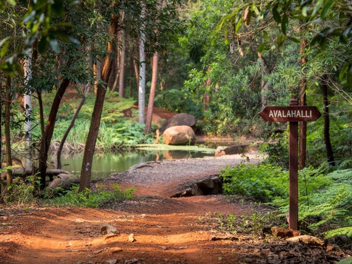 Why Monsoon Is the Best Time to Explore Namma Bengaluru's Hidden Nature ...