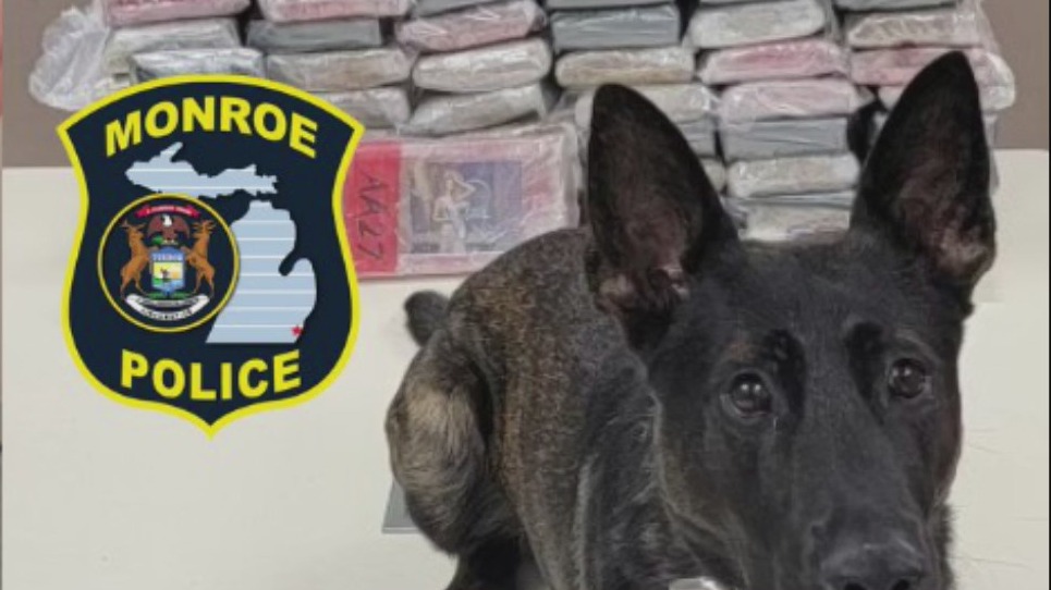 Major cocaine seizure in Monroe County