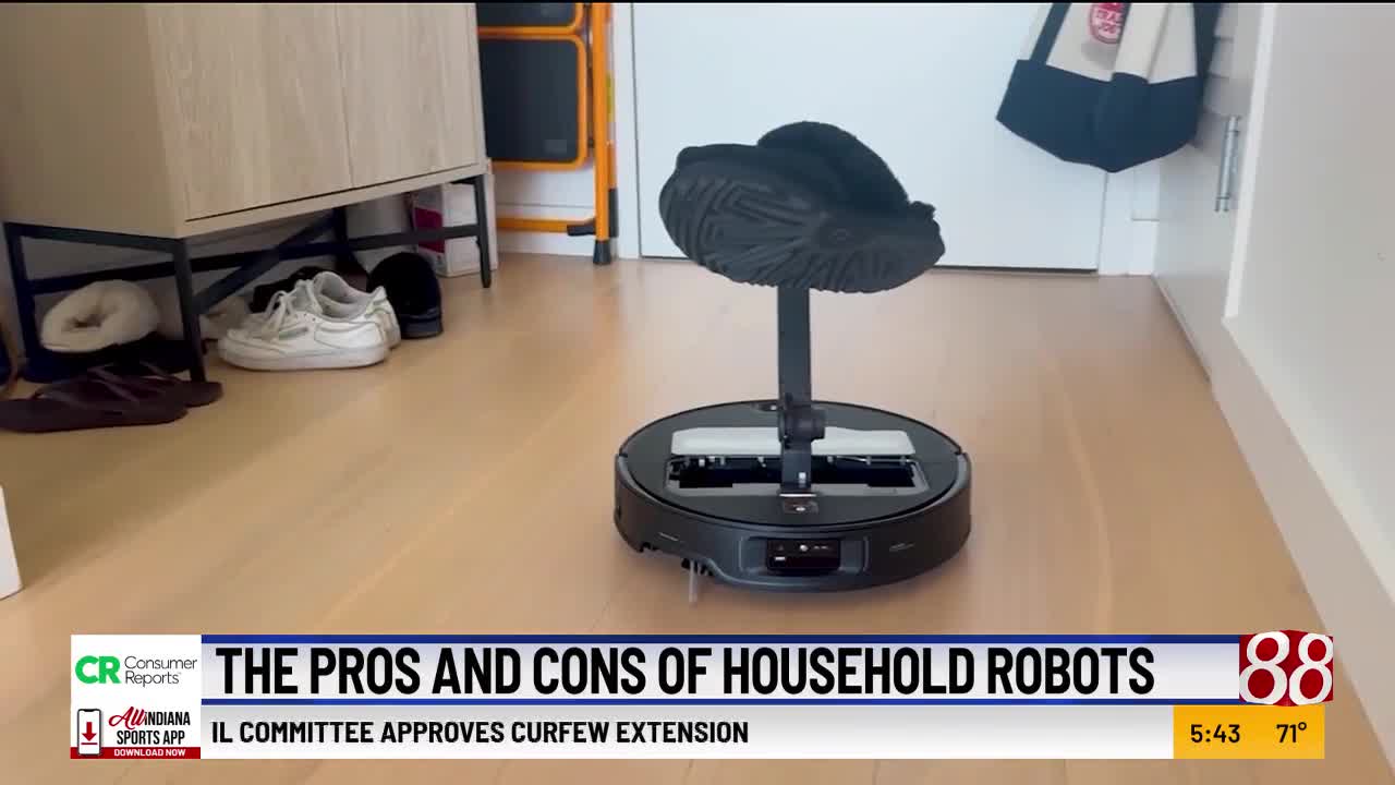 The pros and cons of household robots