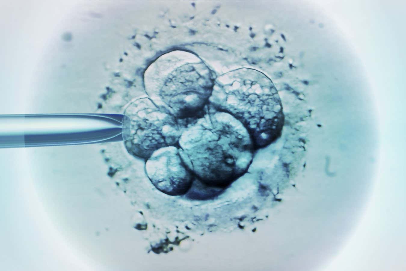 Babies made using three people's DNA are free of hereditary disease