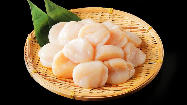 What Are Scallops And What Do They Taste Like?