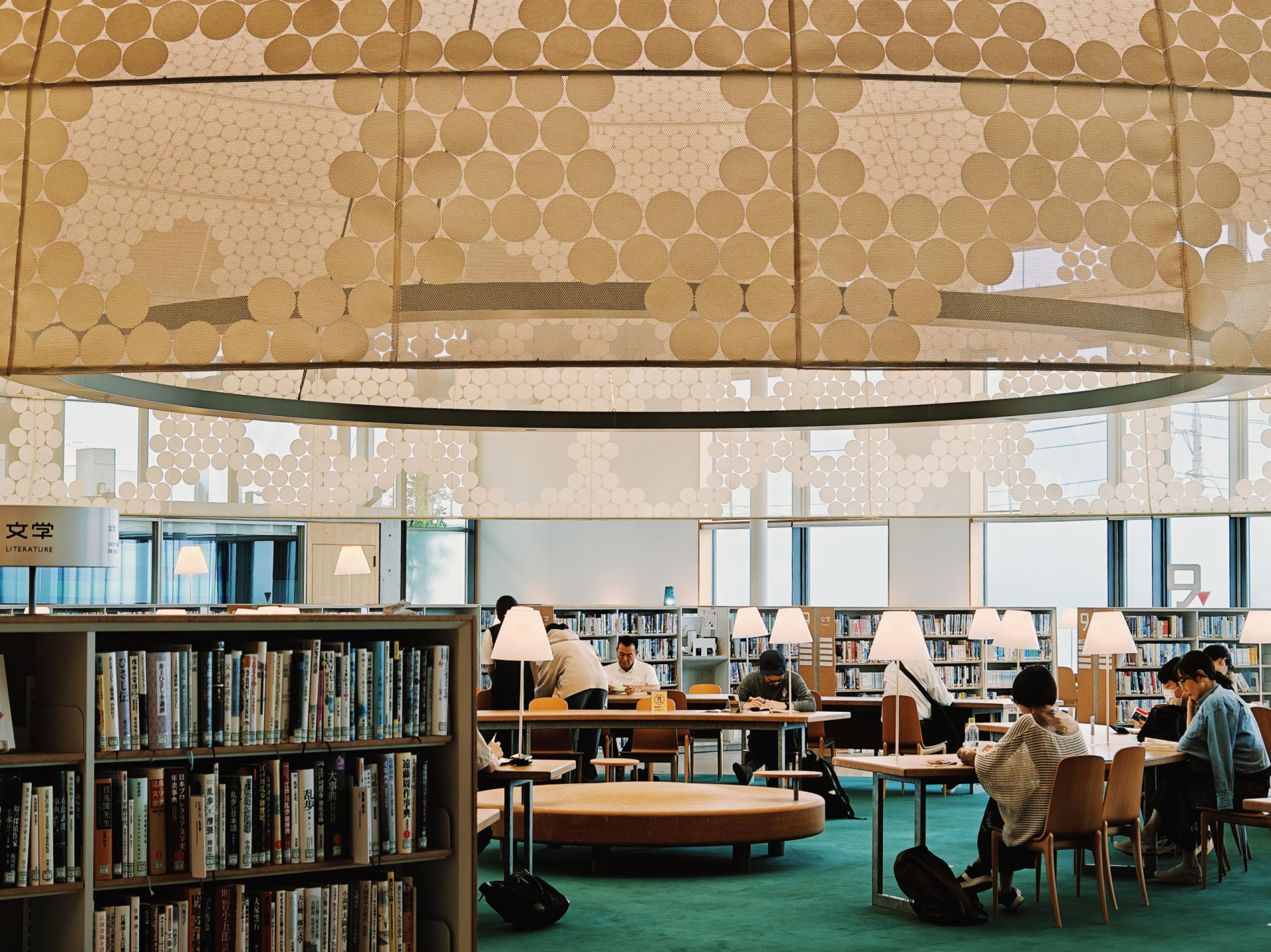 Bibliotherapy Can Reading Heal Depression