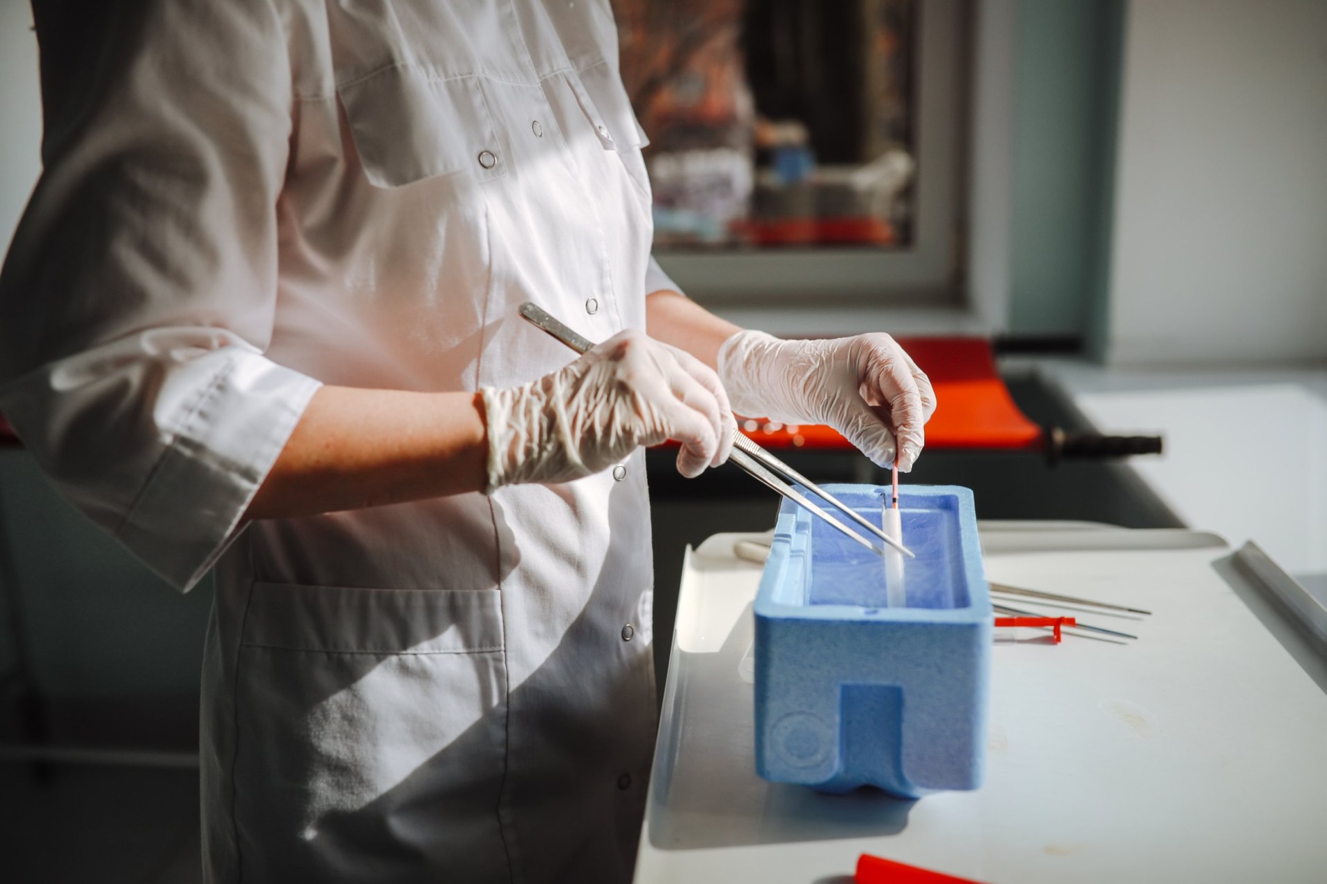 Three-parent babies born in the UK using IVF technique