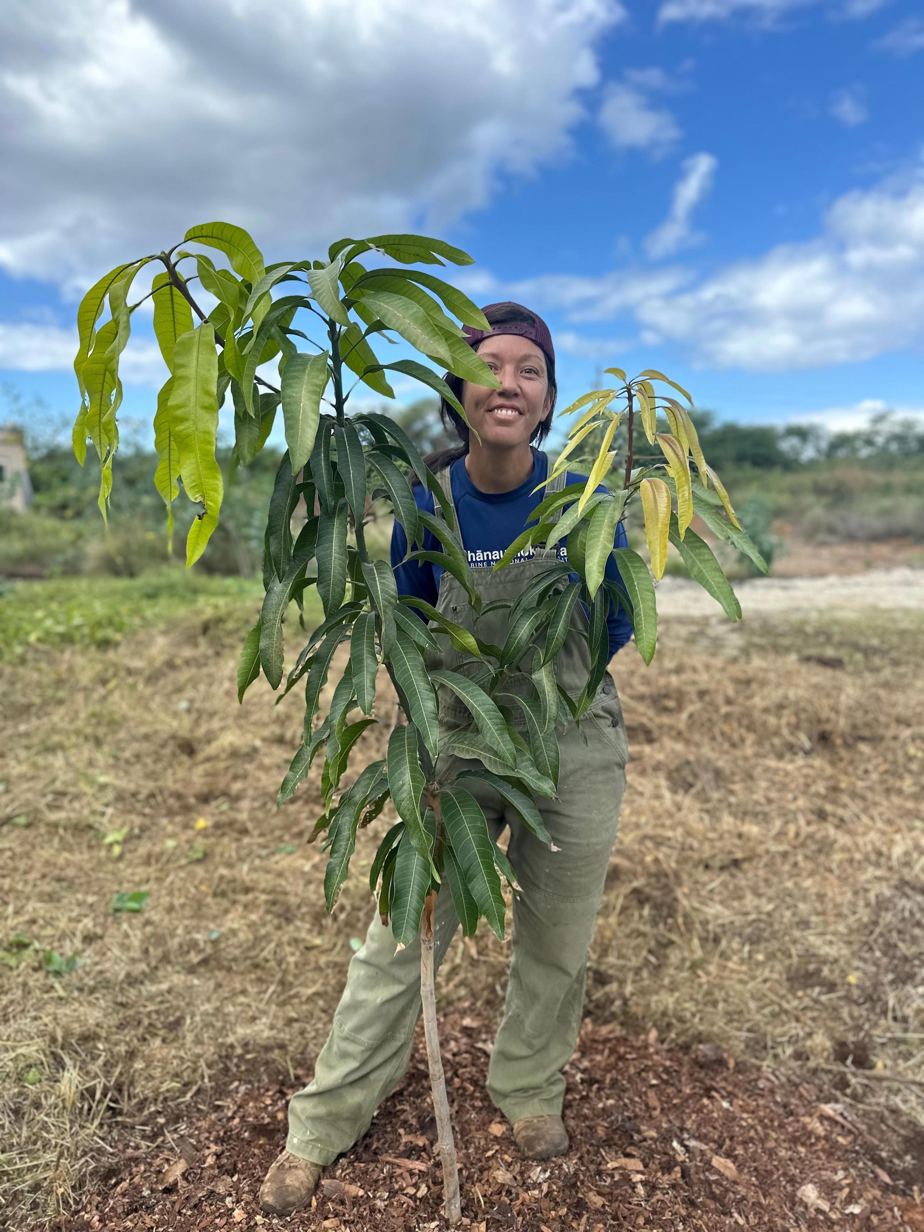 We sold our home in Hawaii to buy 4.5 acres of land with no plumbing or ...