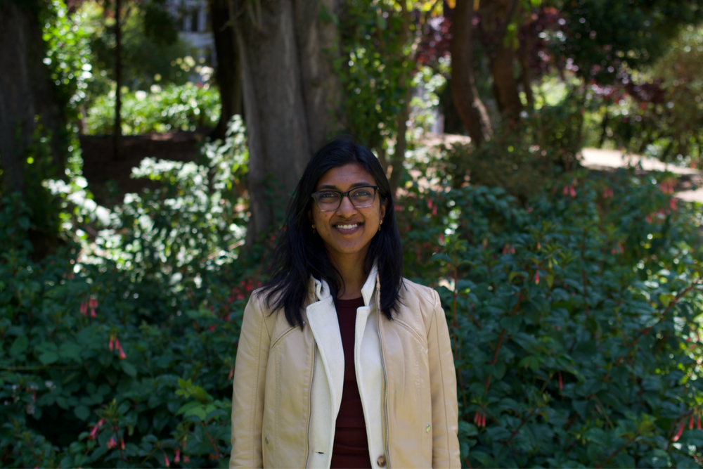 How this Technocrat is Automating Accounting's Messiest Problems with ...