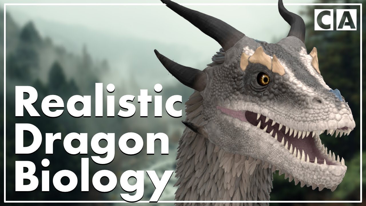 Inside dragon biology: How would they really work?