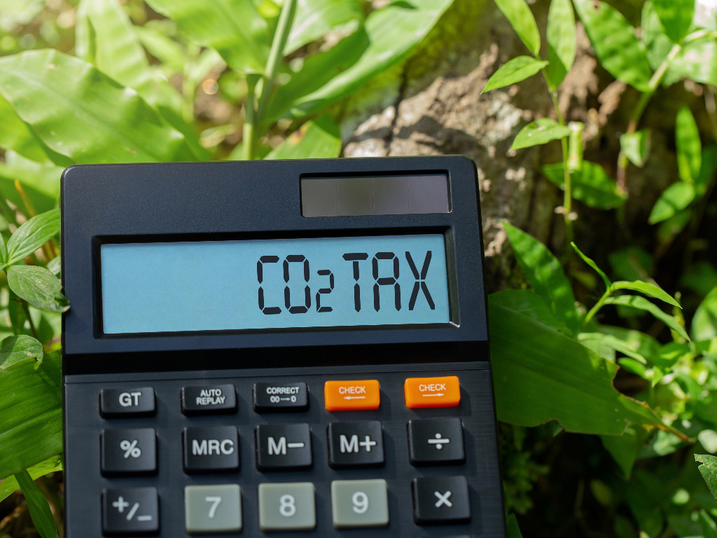 Rethinking Carbon Taxes in the Fight Against Climate Change