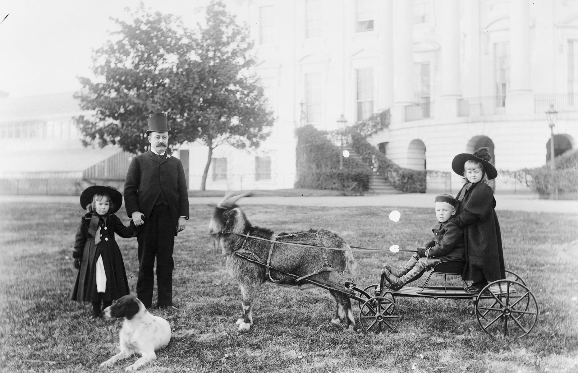 REVEALED: Surprising White House Secrets in Rare Vintage Photos
