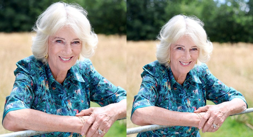 Queen Camilla's 78th Birthday Portrait Features a Fiona Clare Dress ...