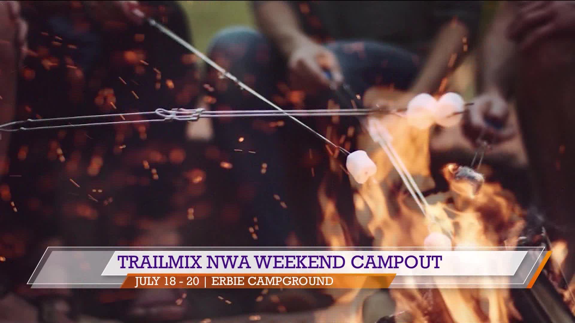 Fun Things to Do in NWA: Puppies, Pickleball & More