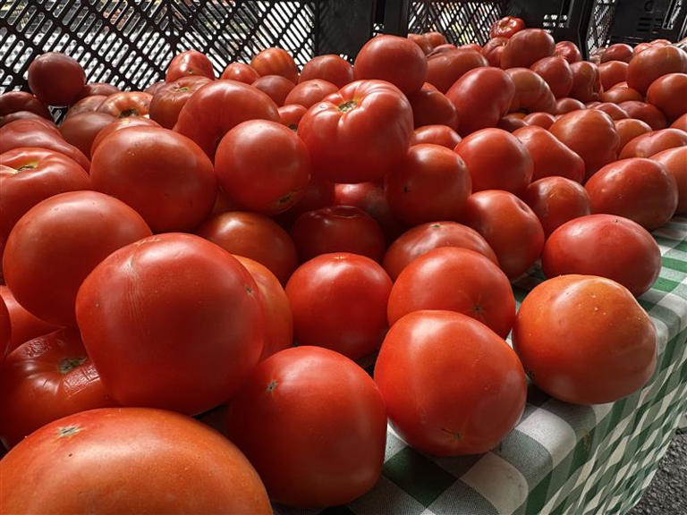 Duke’s Hot Tomato Summer 2025 kicks off with over 100 participating ...