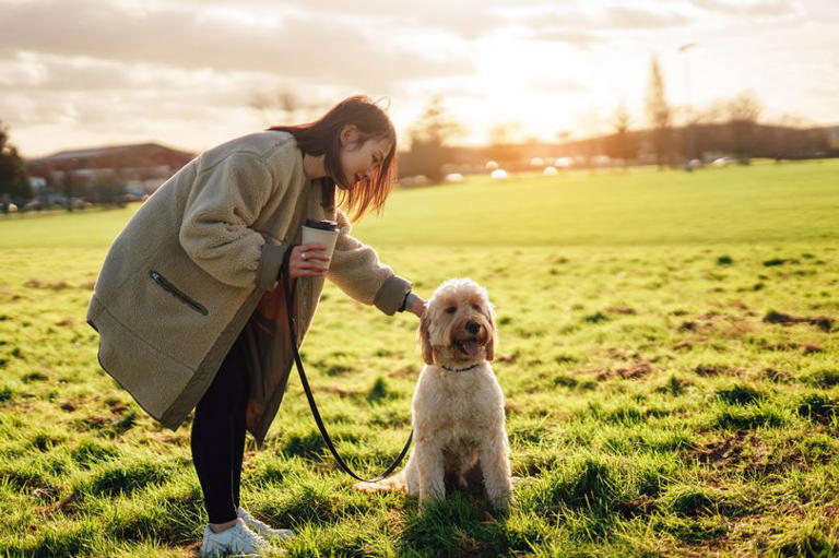 Dog trainer shares three items every owner should carry with them on walks