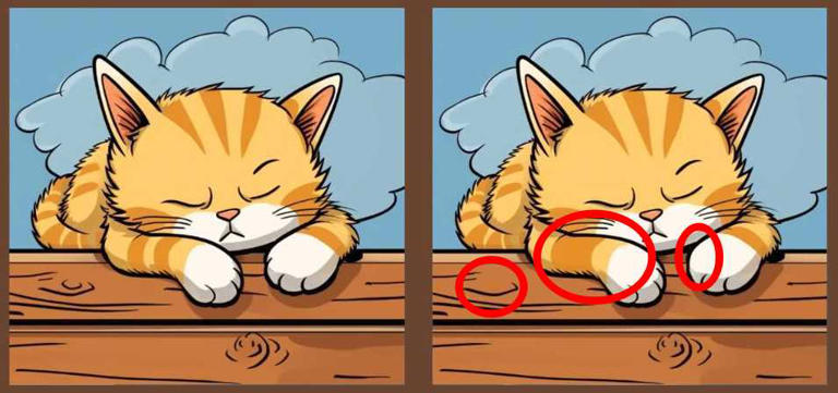 Spot the 3 Differences in the Sleeping Cat Pictures in 23 Seconds!