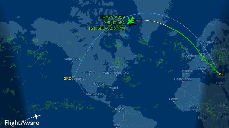 Turkish Airlines Flight Diverts to Chicago After Passenger Dies Over ...