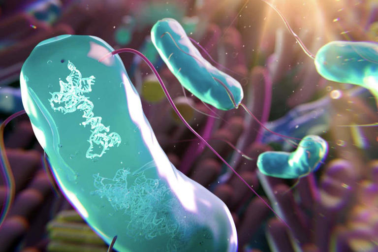 Genetically tailored microbes could tweak our microbiomes