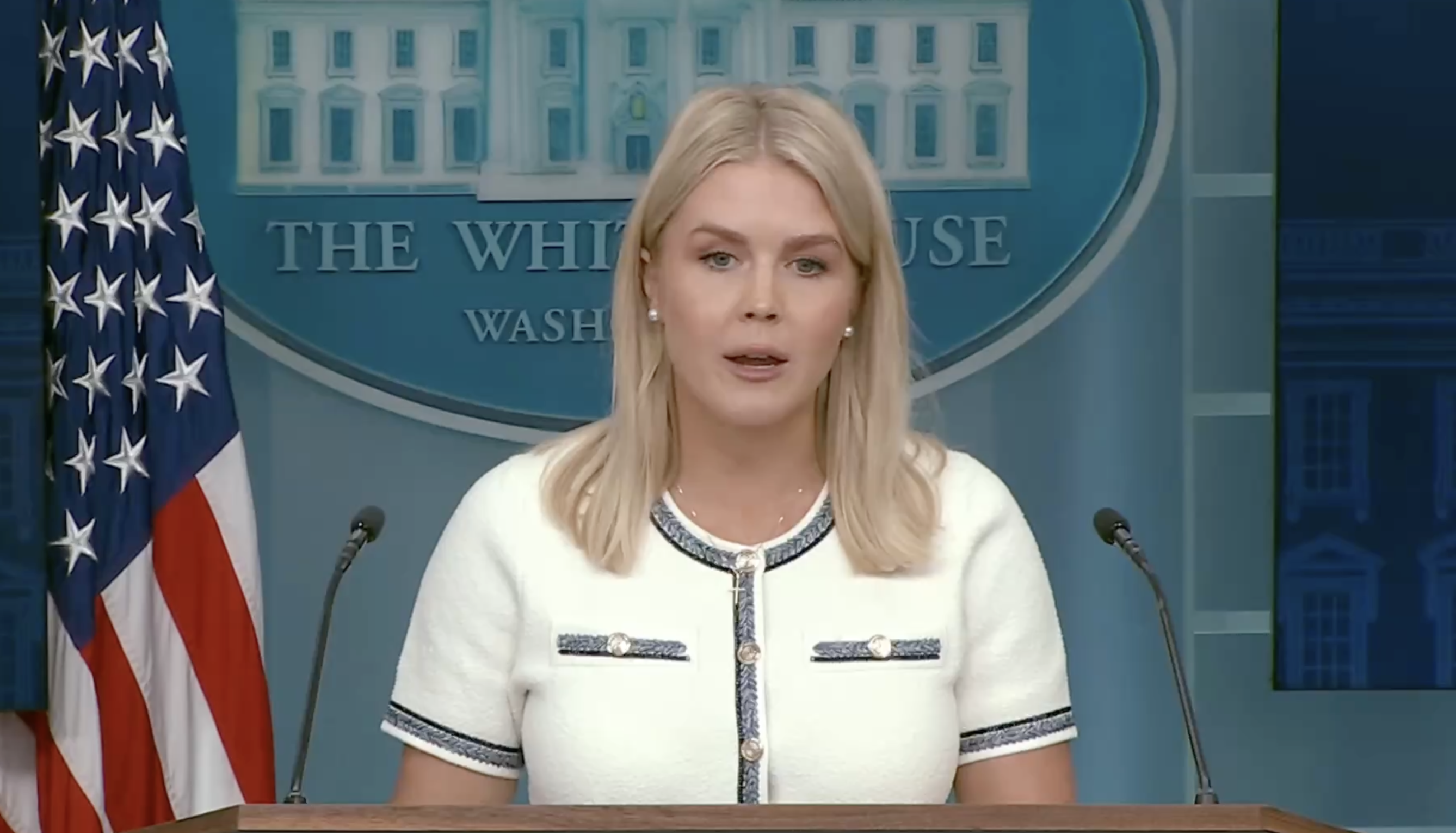 'What Was He Talking About?': Karoline Leavitt Snaps, Scolds Reporter ...