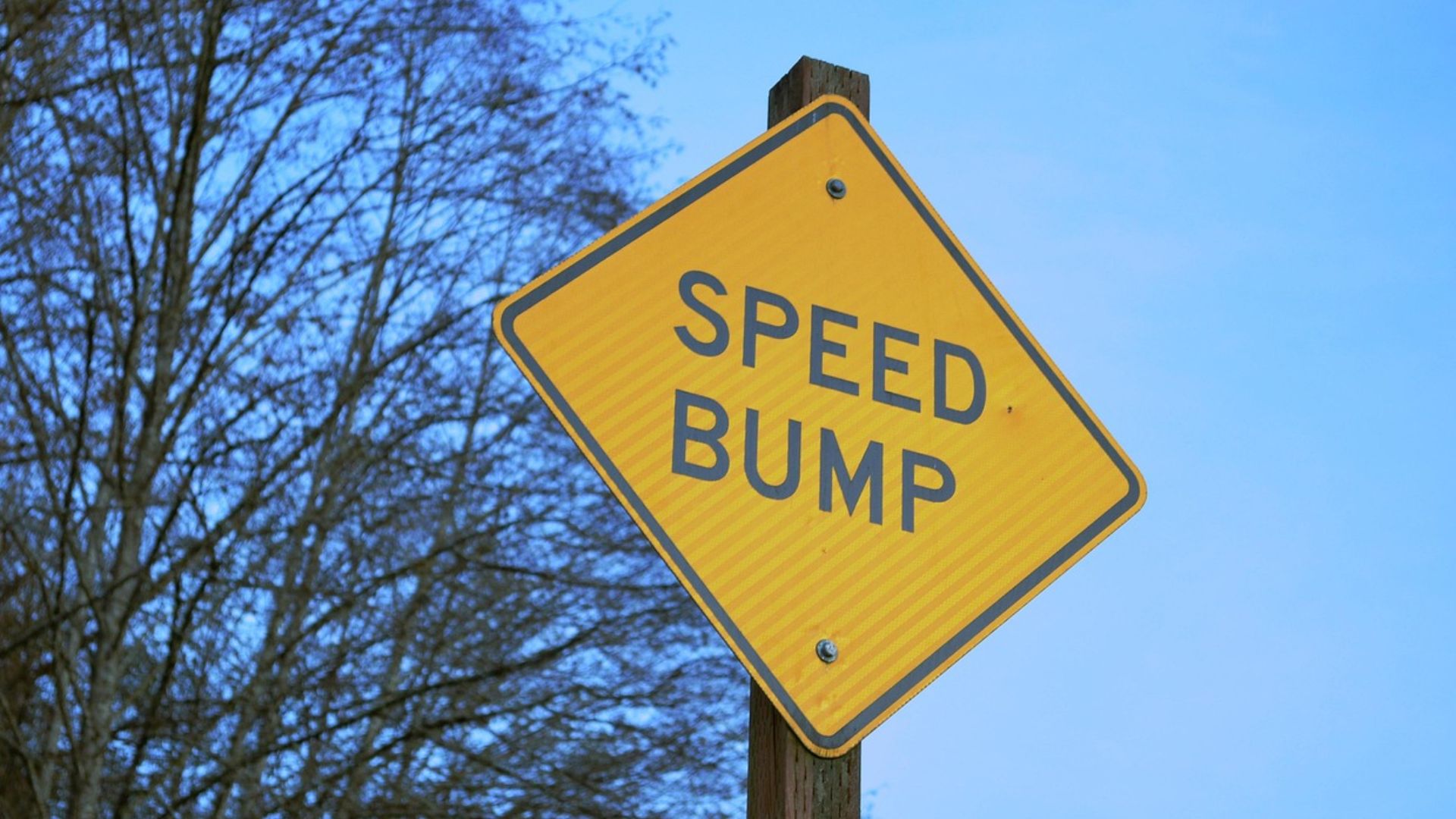 20 Cars That Feel Every Speed Bump