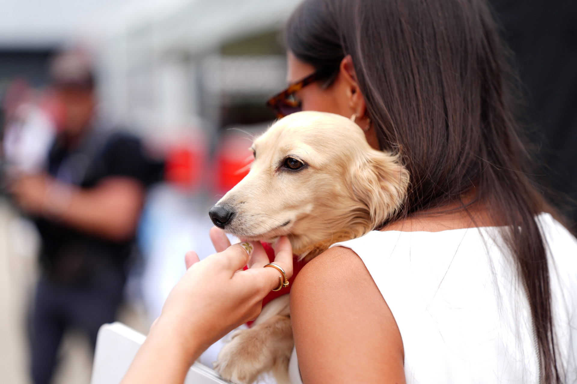 What countries still eat dogs?