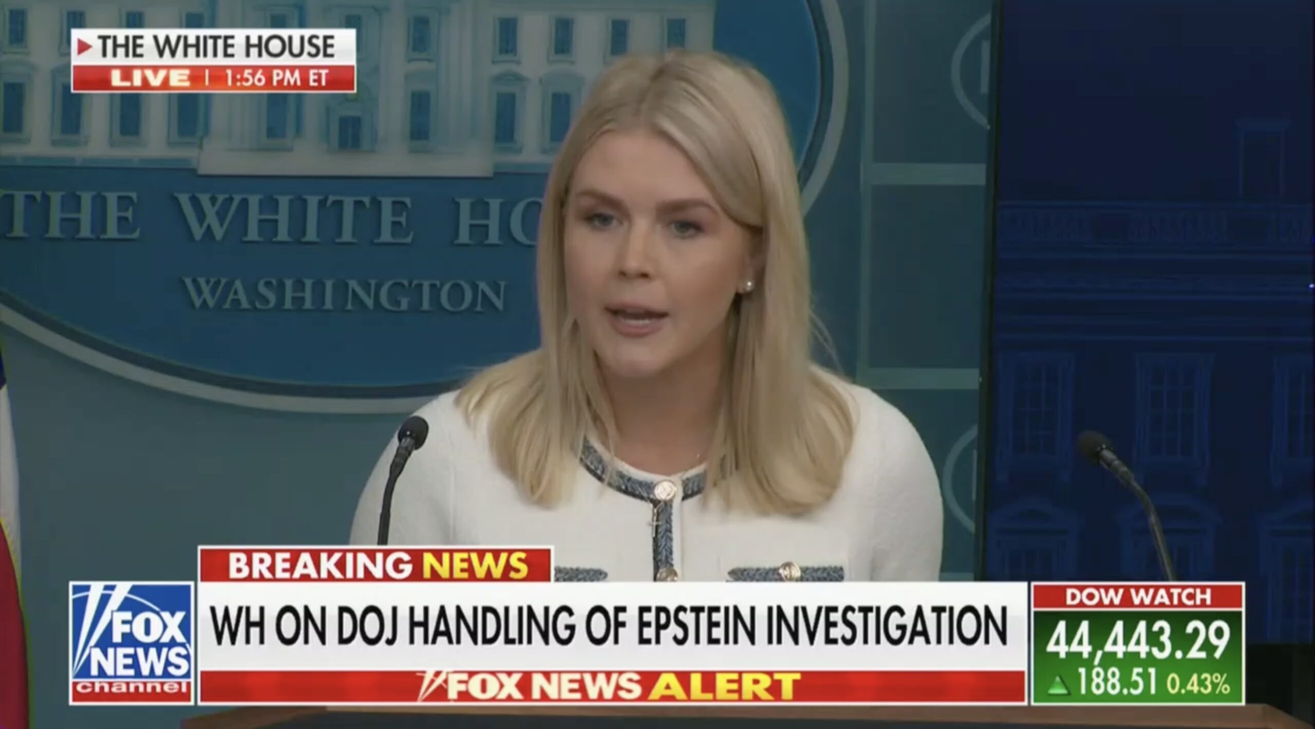 Karoline Leavitt Confronted About MAGA Influencers Denouncing Trump On ...