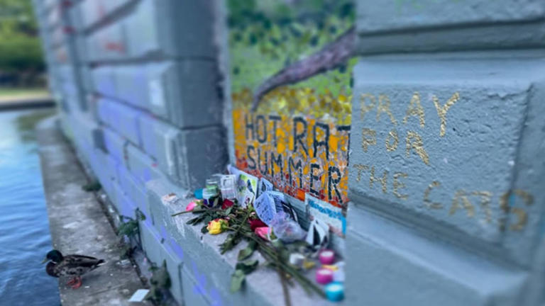 What is 'Hot Rat Summer'? The story behind Seattle's disputed mosaic