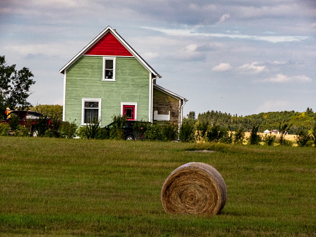 Why Moving to a Rural Farm Was the Best Decision I Ever Made