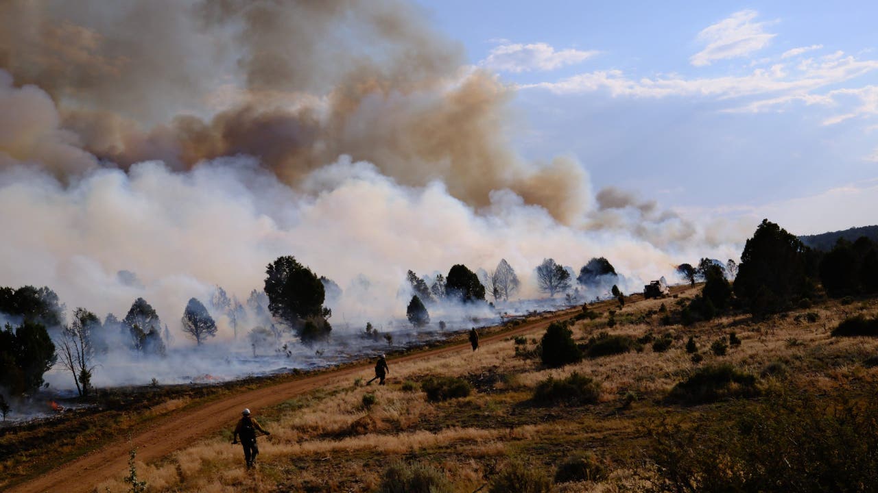 White Sage Fire: Northern Arizona wildfire prompts evacuations