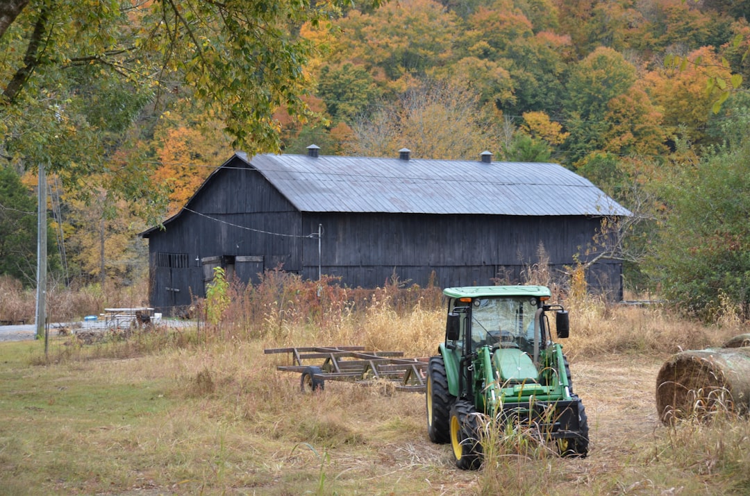 Why Moving to a Rural Farm Was the Best Decision I Ever Made