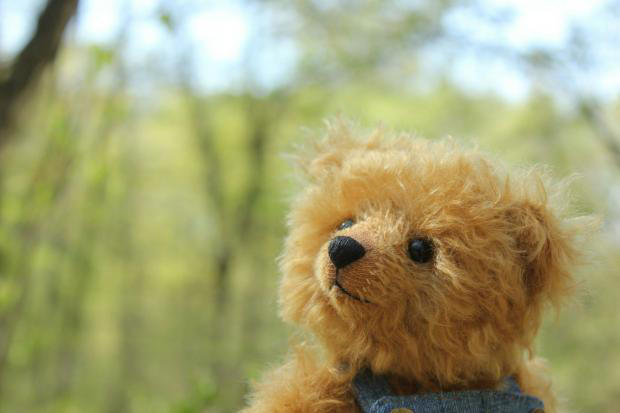 Teddy bear trail taking place at village hub