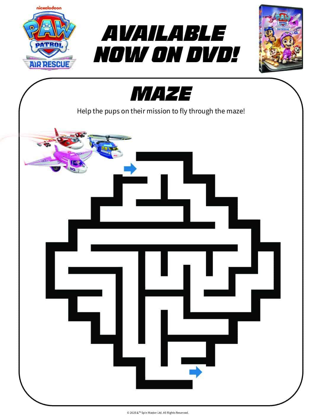 Paw Patrol Air Rescue Activity Sheets free printable