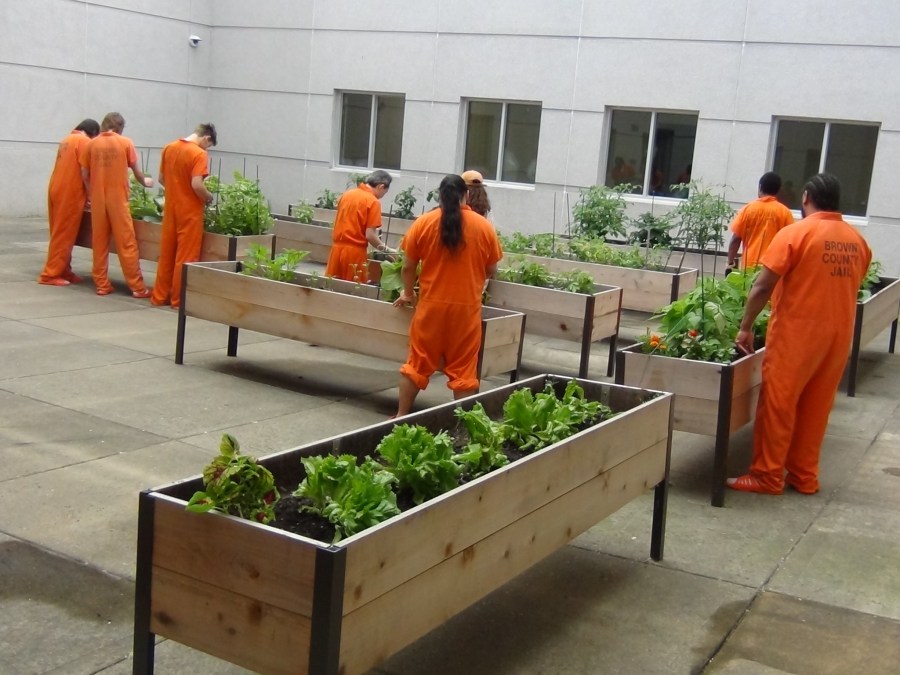 Brown County Jail’s garden program shows significant growth in second ...