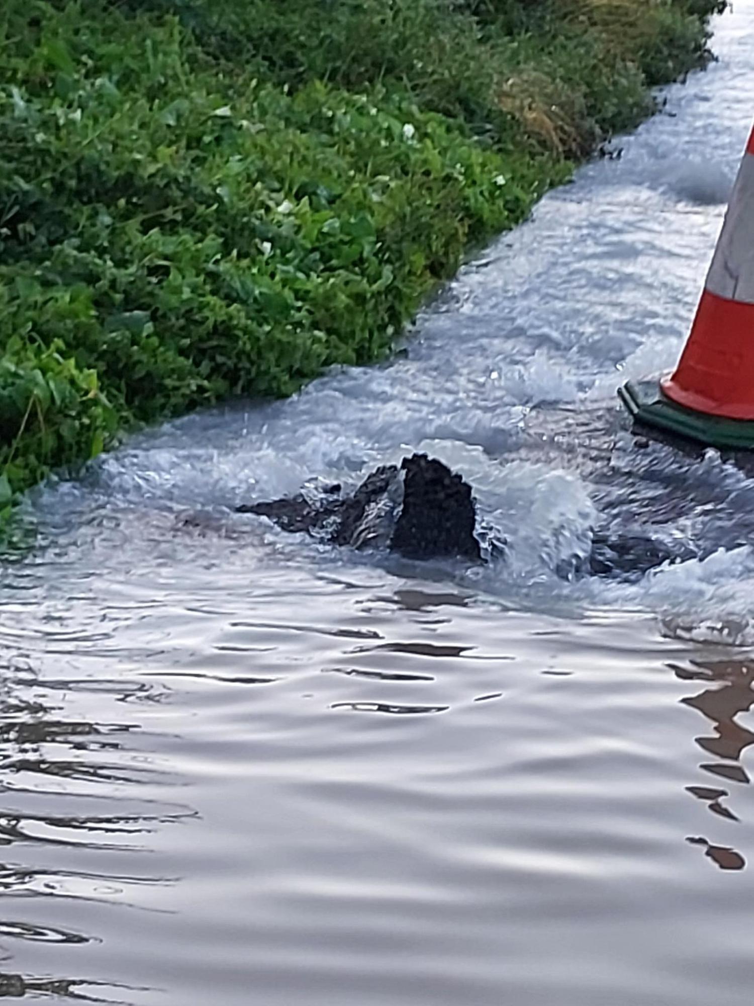 Motion launched calling for Bucks Council to address water and sewage ...